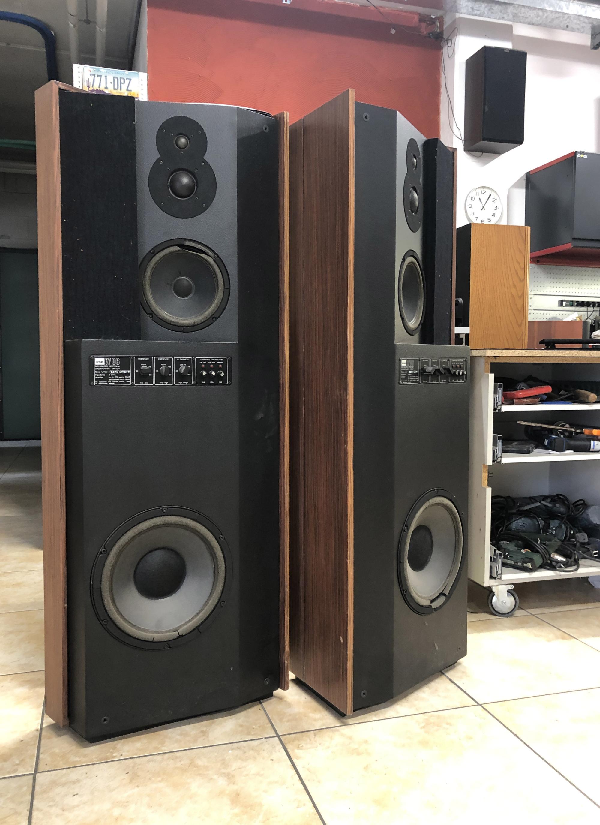 Riparazione casse acustiche esb 7/06 | Audiomax Italia